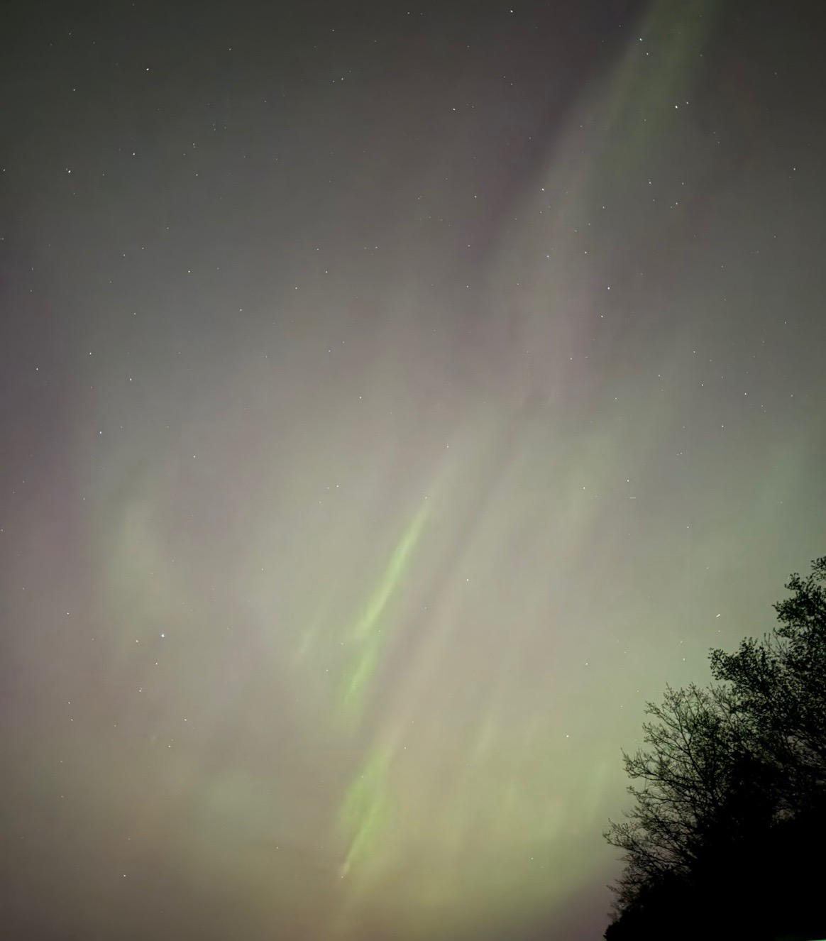Northern Lights make rare appearance across Northern Hemisphere – Tempest